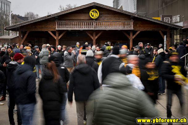 YB – FC Luzern 2:0 (1:0) | BSC Young Boys-Fotos von Thomas Hodel ...