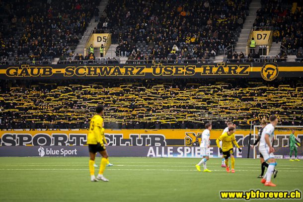 YB – FC Luzern 2:0 (1:0) | BSC Young Boys-Fotos von Thomas Hodel ...