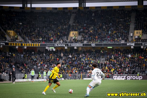 YB – FC Luzern 2:0 (1:0) | BSC Young Boys-Fotos von Thomas Hodel ...