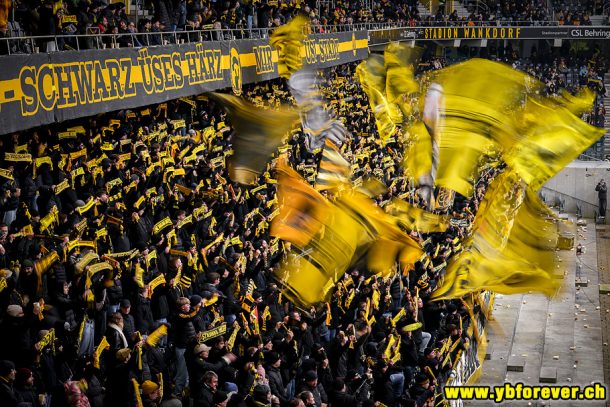YB – FC Luzern 2:0 (1:0) | BSC Young Boys-Fotos von Thomas Hodel ...